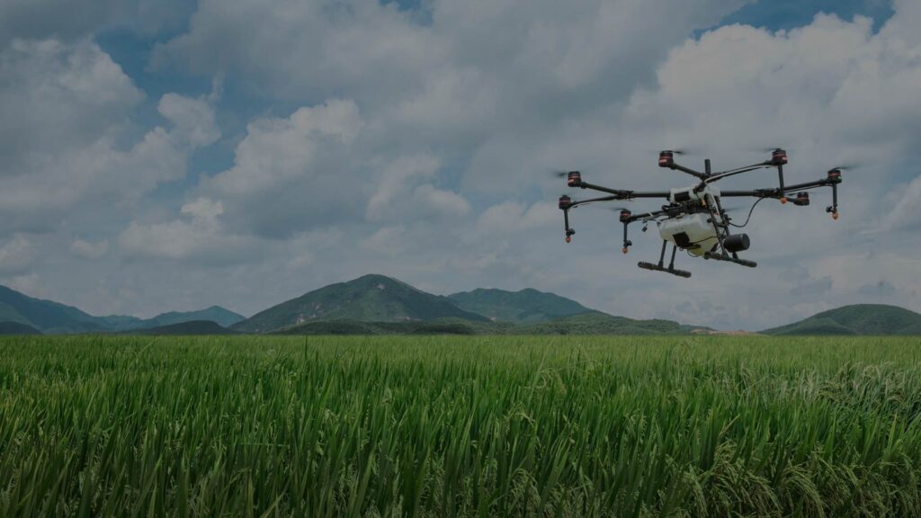 G-Planter | Your Perfect Partner