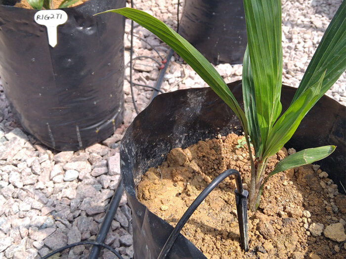 G-Drip® - G-Planter