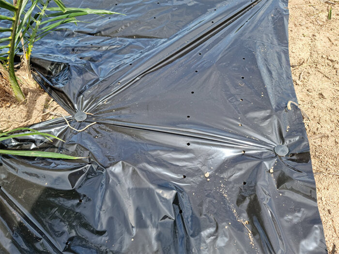 WeedAway® - G-Planter