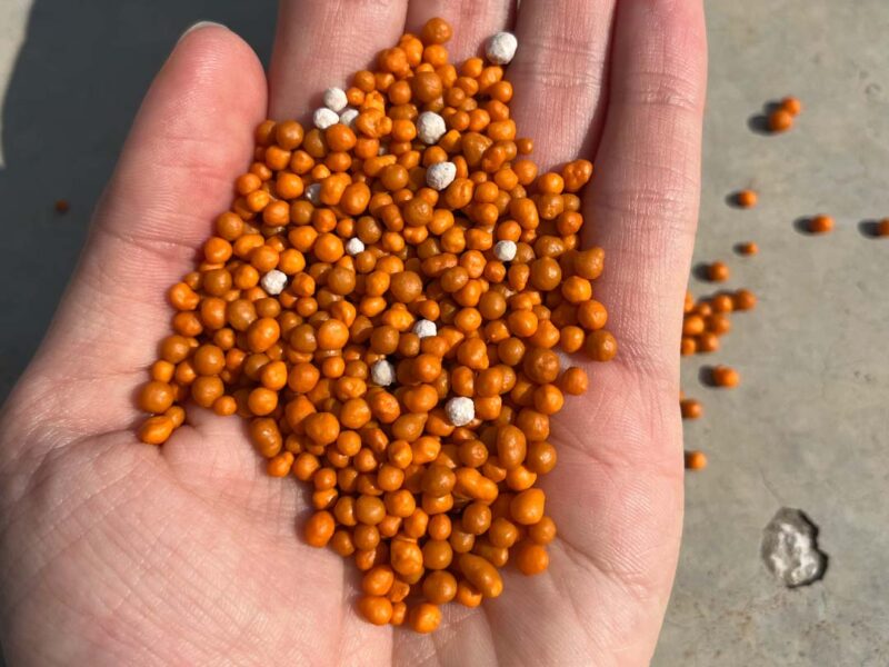 Stay Updated with The Latest Insights - G-Planter