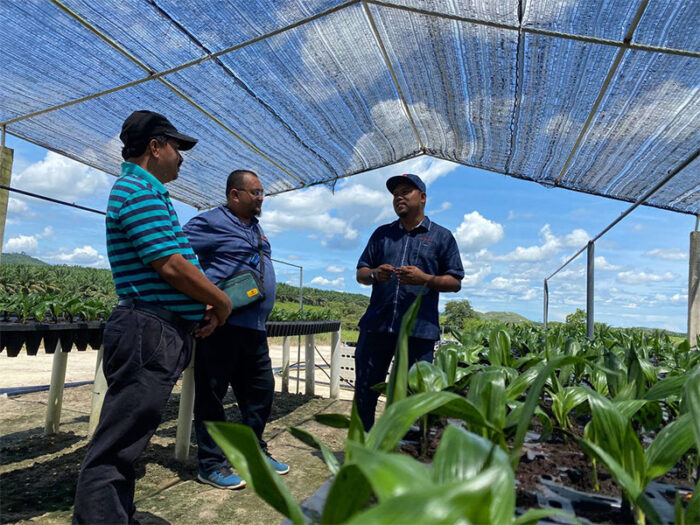 Consultation - G-Planter