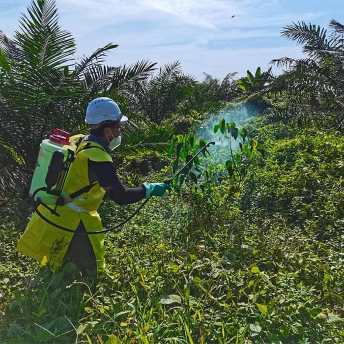 Contract Spraying - G-Planter